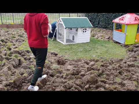 Ahşap dış mekan tavşan kulübesi kuruyoruz,tavşan evi,bahçede tavşan beslemek