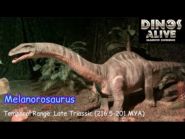Melanorosaurus