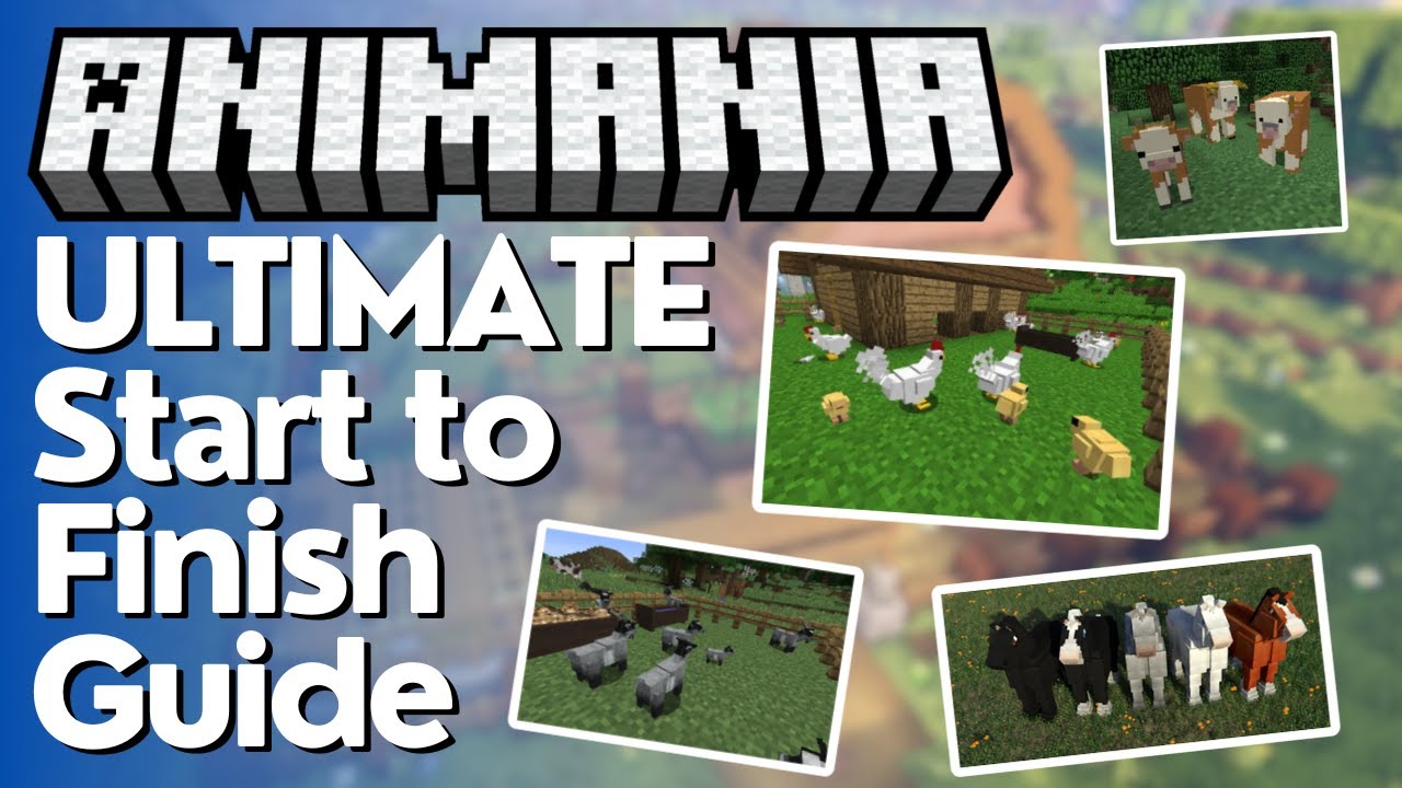 The Ultimate Guide to Animania - YouTube