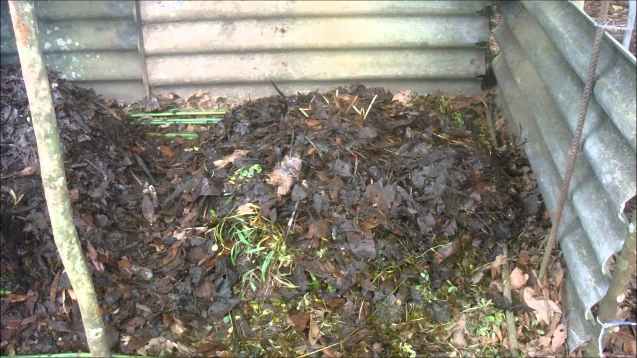 AMP: Rapid Compost - YouTube