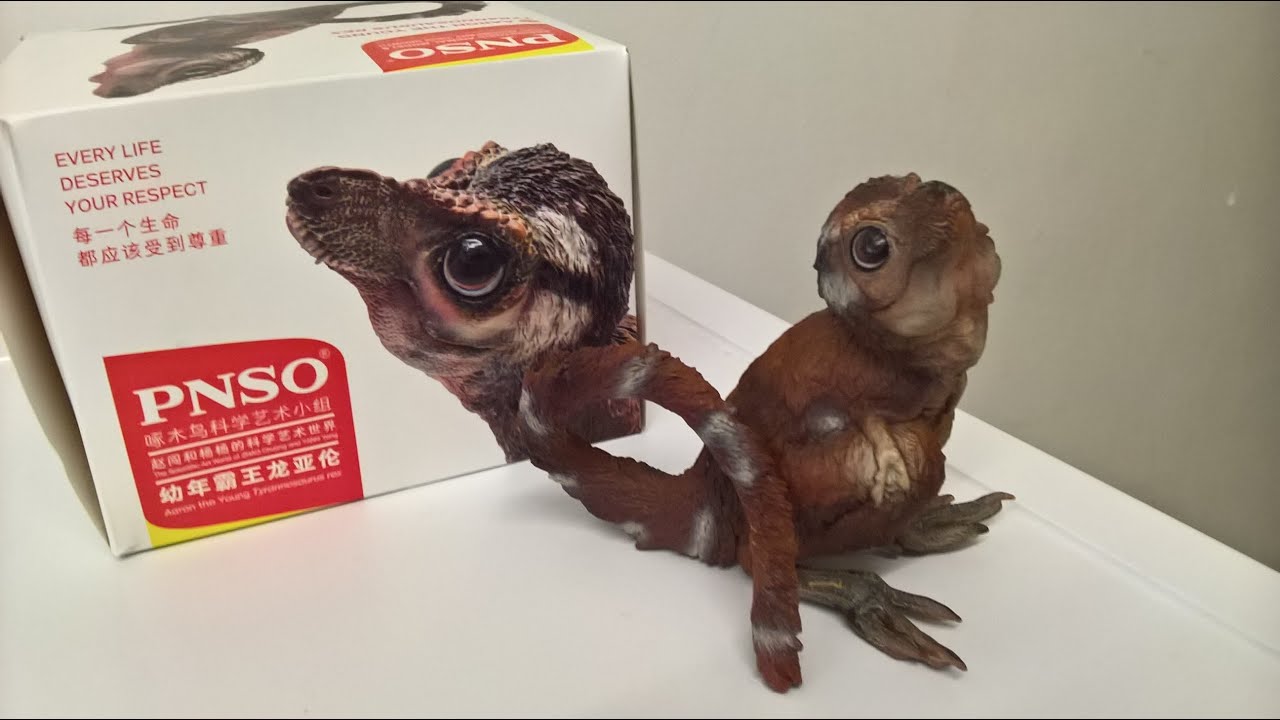 Baby T Rex "Aaron" model review (PNSO) - YouTube