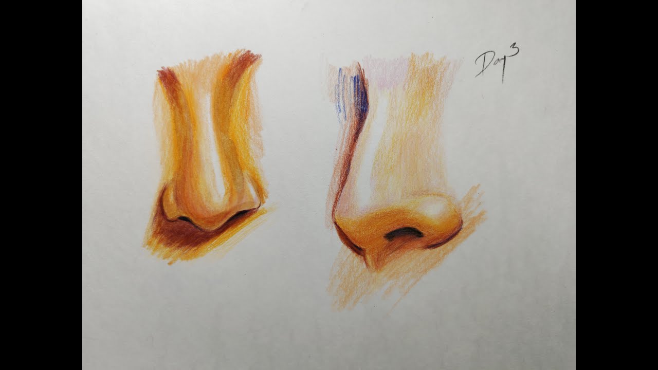 color pencil sketching day 3 nose - YouTube