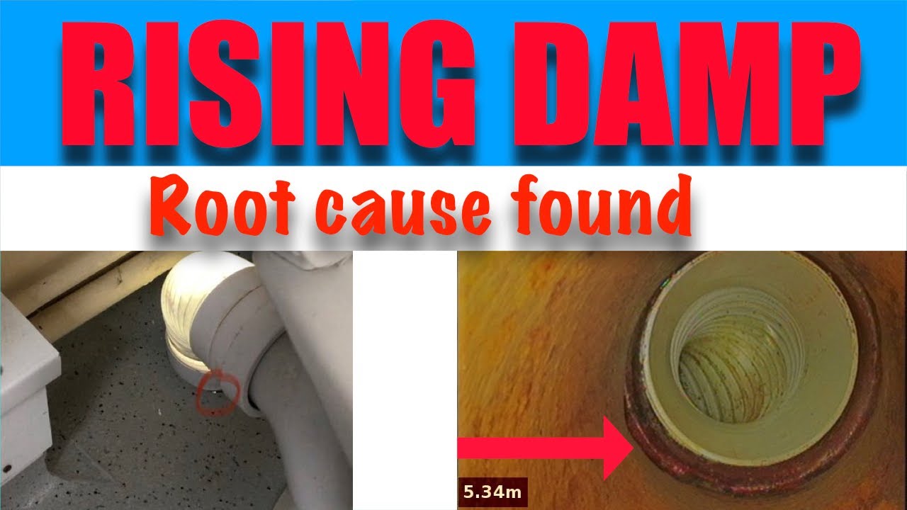 Rising damp root cause found - YouTube