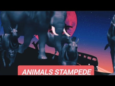Elephant Sound / Disney animal kingdom / animal stampede / stampede ...