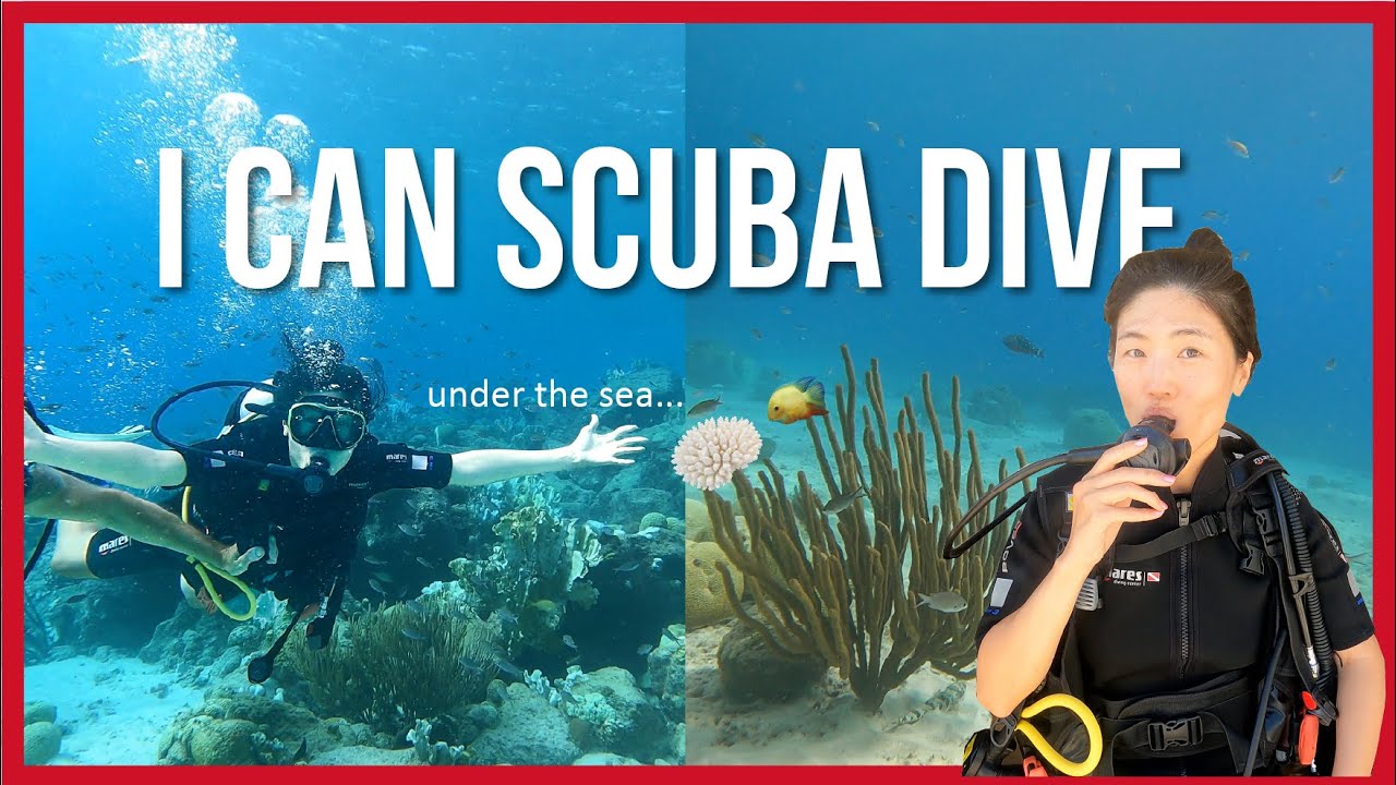 Intro Dive for Beginners l Never thought I would do this! My first scuba diving in Curacao - YouTube