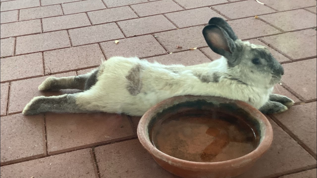 Just keep looking, just keep looking👀 - YouTube