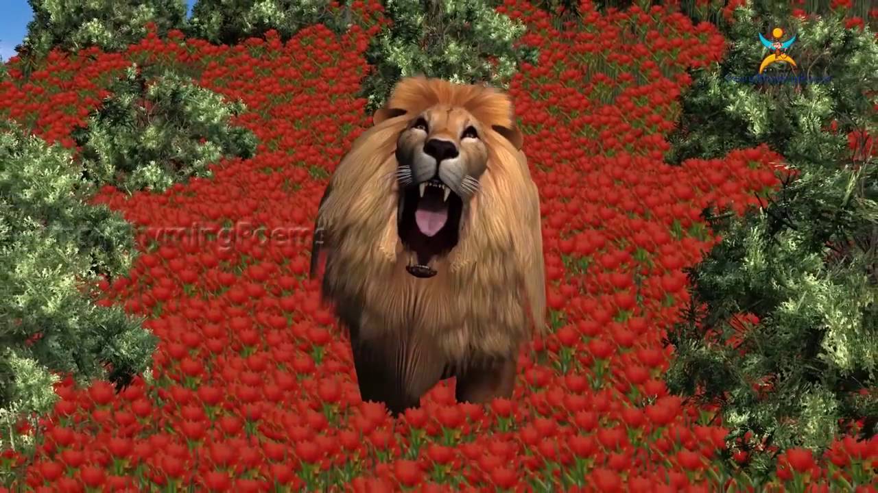 Tiger Finger family 3d rhyme | Animated Nursery Children Finger Family ...