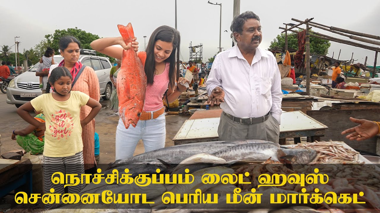 Chennai biggest fish sale | Nochchi kuppam | Marina Beach #creative # ...