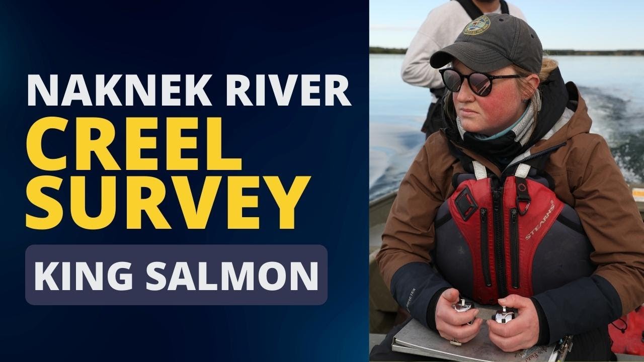 Naknek River Creel Survey - YouTube