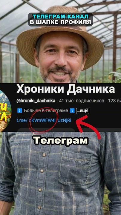 99 дачников неправильно вносят яичную скорлупу огород сад дача