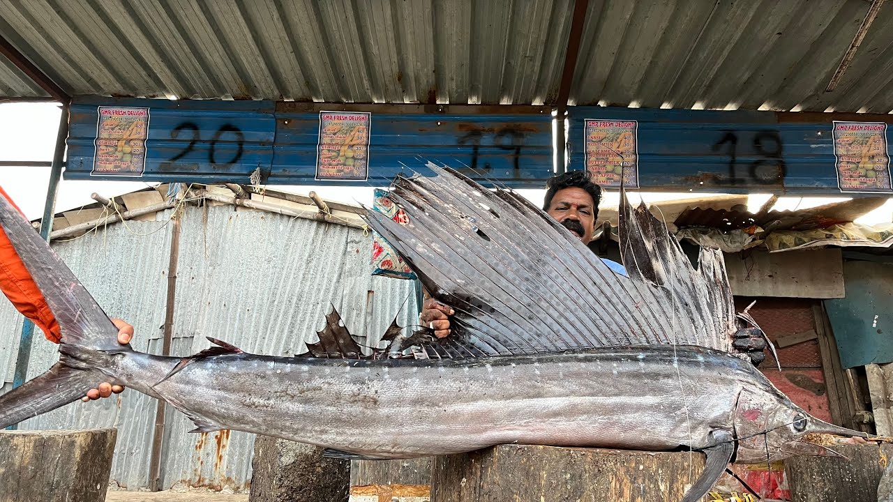 MONSTER FISH 🐠 MAYIL KOLA 🤩 FANTASTIC CUTTING BY KASIMEDU SEKAR ⚔️🔥 ...