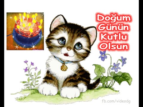 Konuşan sevimli kediyle doğum günü kutlaması