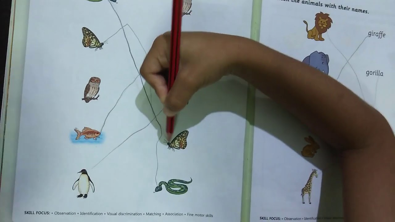 Learn to draw a Line to Match the Animal | Kids learn Animals Names ...