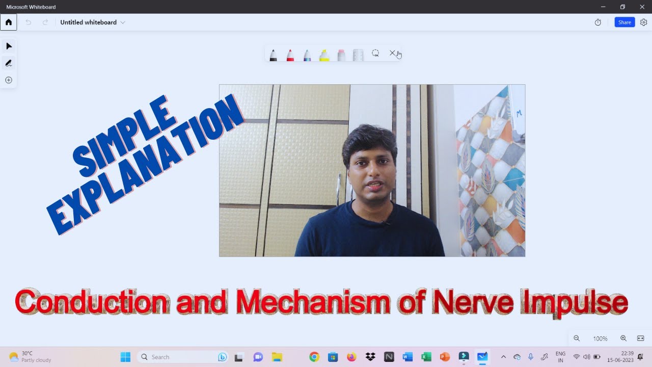 Conduction of Nerve Pulse l Neural Control and Coordination l 11th ...
