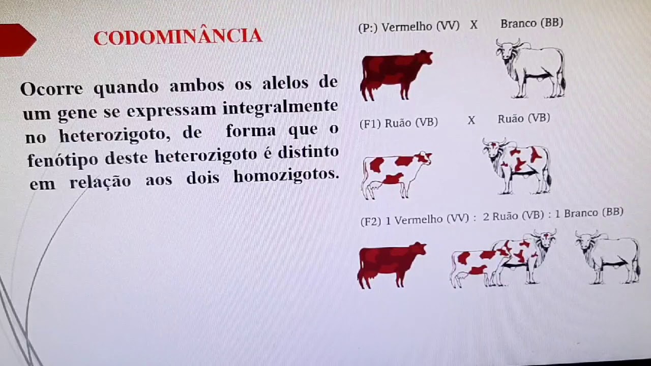 O Que é Dominância Incompleta - RETOEDU