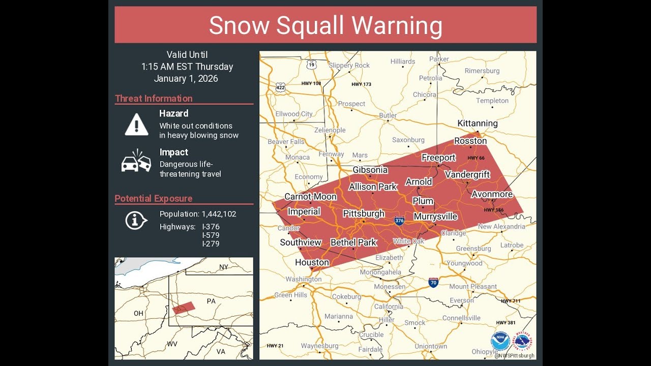 Snow Cam Timelapse Footage 10X Speed: Snow Squall Warning - 01/01/26 ...