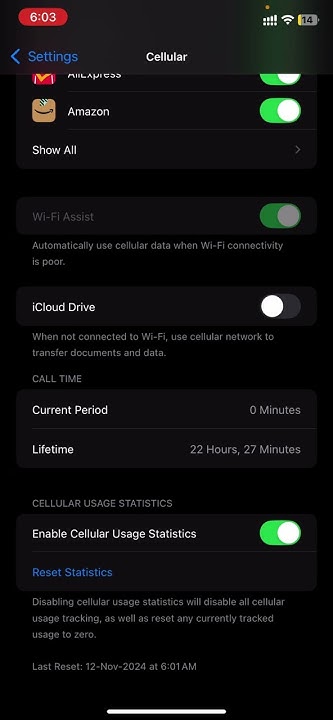 How to Reset Cellular Statistics on iPhone - YouTube