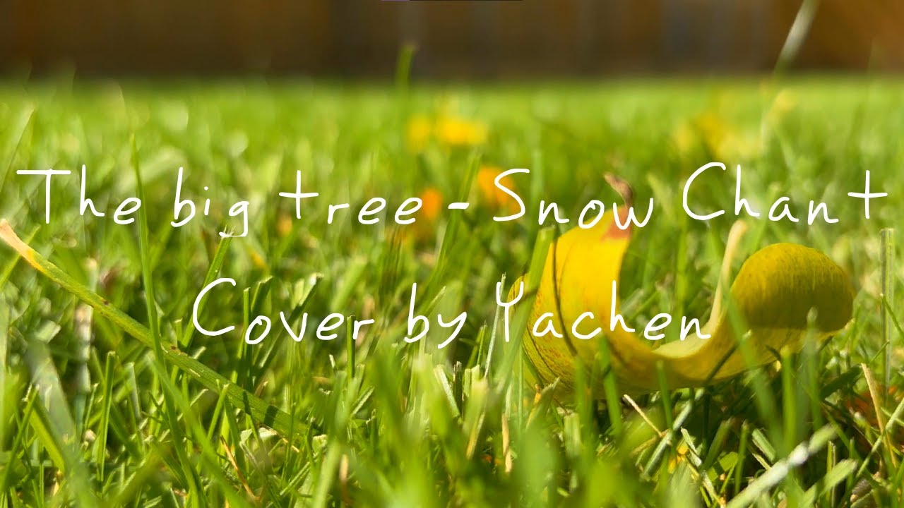 The big tree - Snow Chant / Ver. Yachen - YouTube