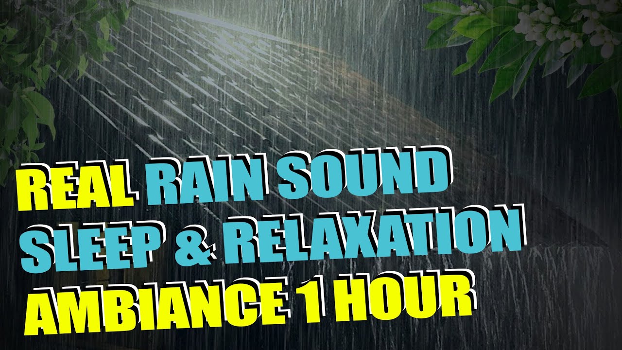 REAL RAIN SOUND SLEEP & RELAXATION AMBIANCE (1 HOUR) - YouTube