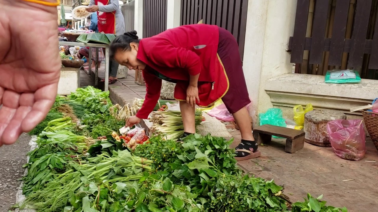 nkauj hmoob toj siab paum muaj tom xib zawm haib zoo nyob tshaj - YouTube