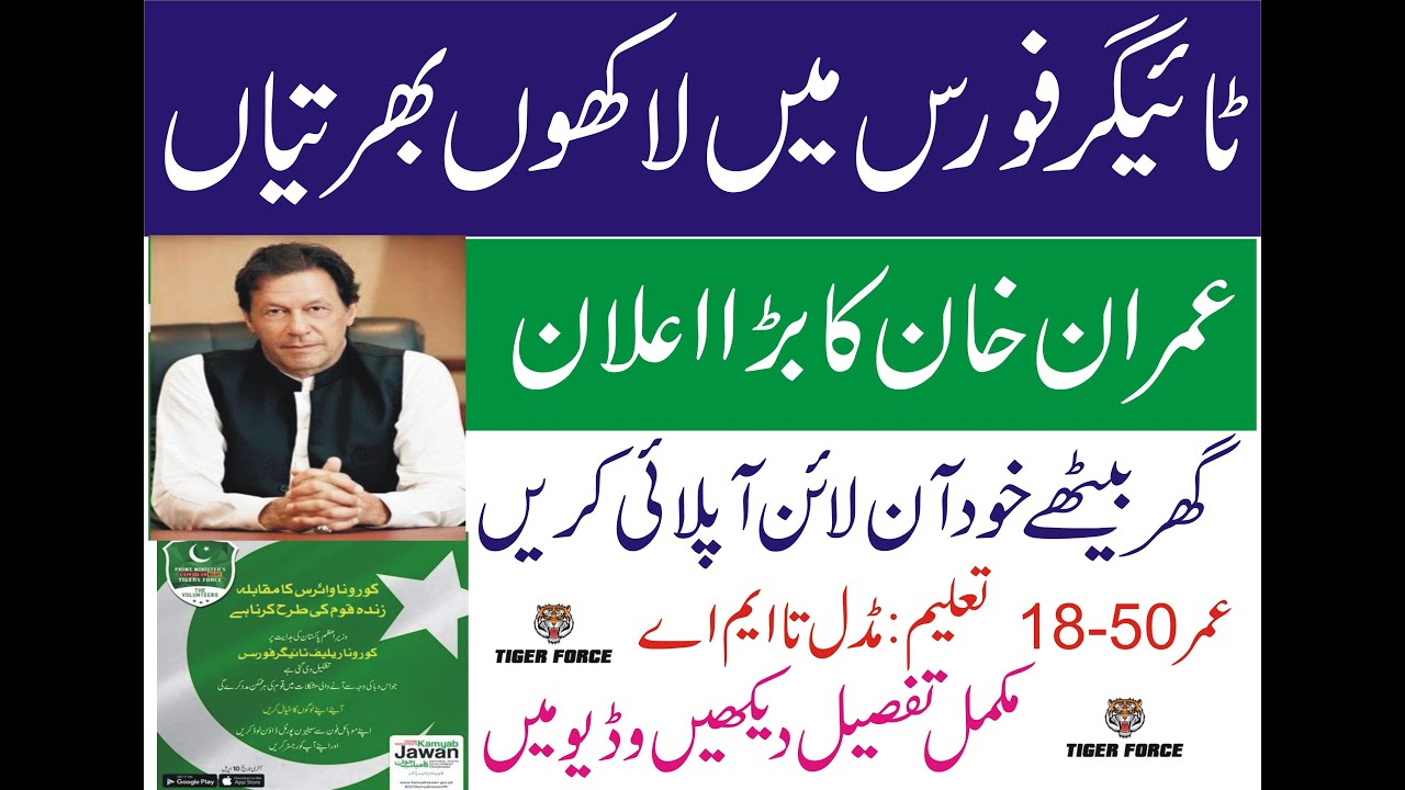 Pakistan Tiger Force Registratio 2020, Tiger Force Online Apply 2020 ...