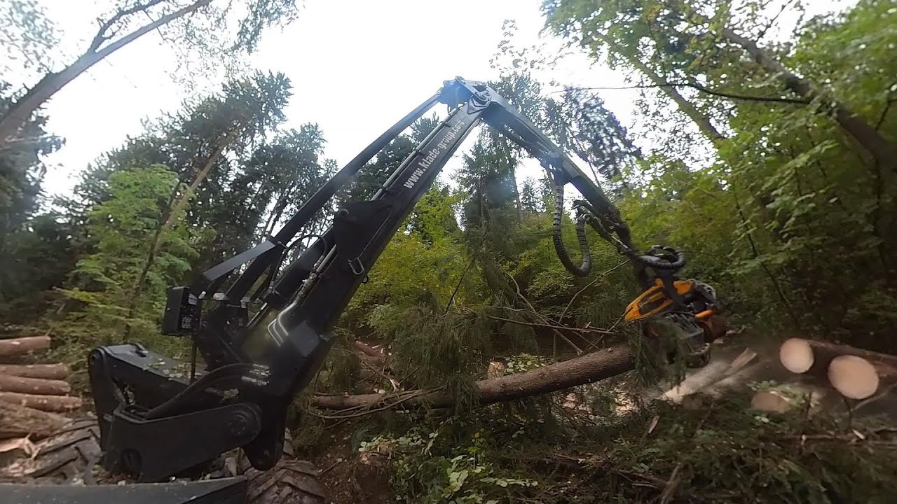 🌲 Onboard 🌲 Ponsse Bear C55 & H8 [ Mittendrin statt nur dabei ] 1 : 2 ...