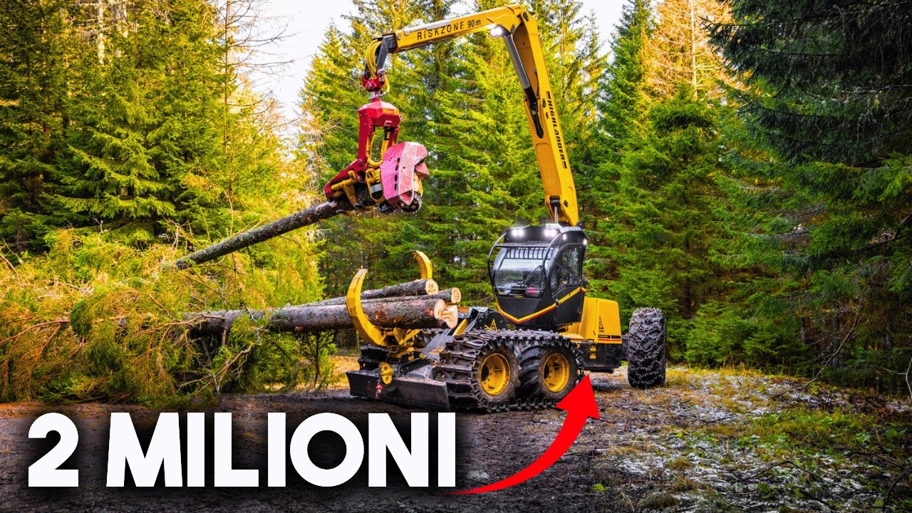 LE 5 MACCHINE FORESTALI PIU IMPRESSIONANTI AL MONDO - YouTube