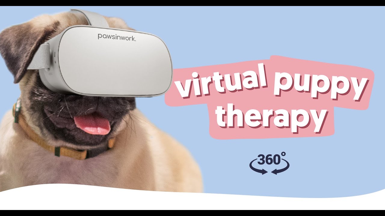 Virtual Puppy Therapy - YouTube