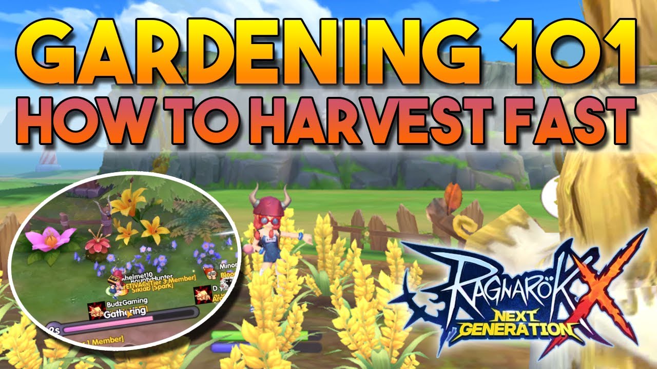 HOW TO HARVEST FAST, GARDENING TIPS 101 - RAGNAROK X: NEXT GENERATION ...