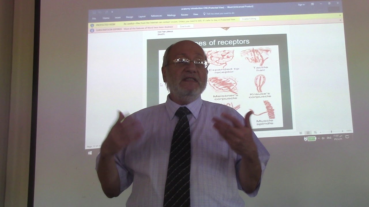 Neuroanatomy 4 ( Introduction , part 4 ) by, by Dr. Wahdan - YouTube