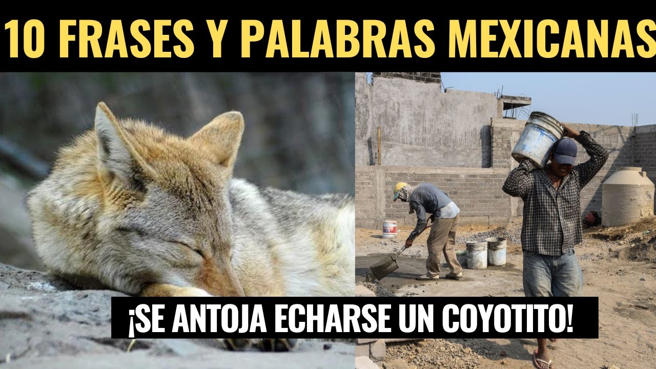 Frases Mexicanas que Usas y No Sabías - ¡Conoce su Origen y Significado ...