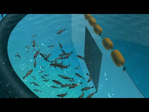 Flexi-Panel principle - YouTube