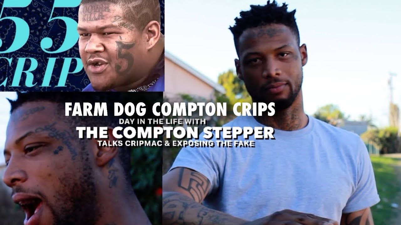 Welcome To Farm Dog Compton Crips! ATF/TFS Day In Life | Compton ...