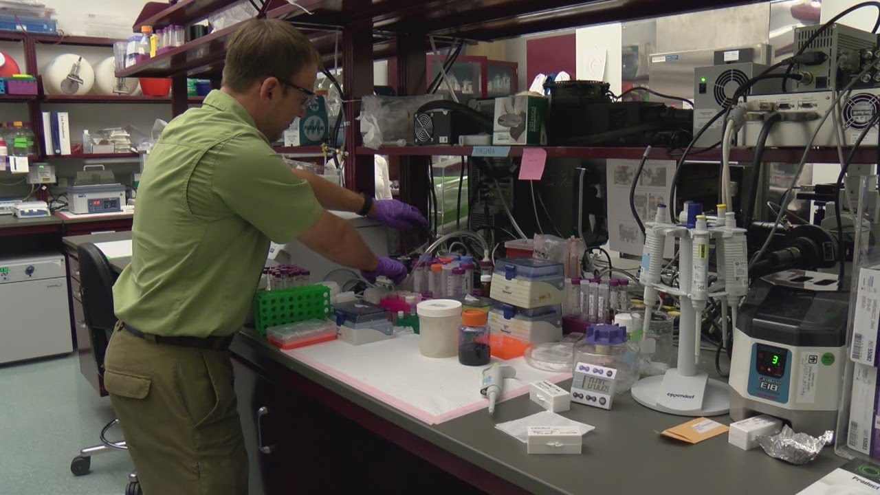 Sandia Labs scientists storing secure information in DNA - YouTube