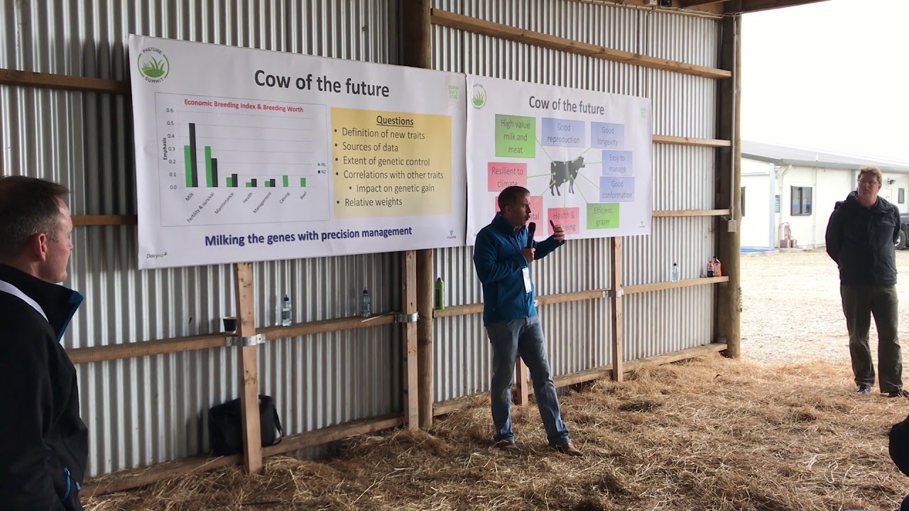 Workshop 2 - Donagh Berry, Teagasc - Pasture Summit 2018 - South Island ...