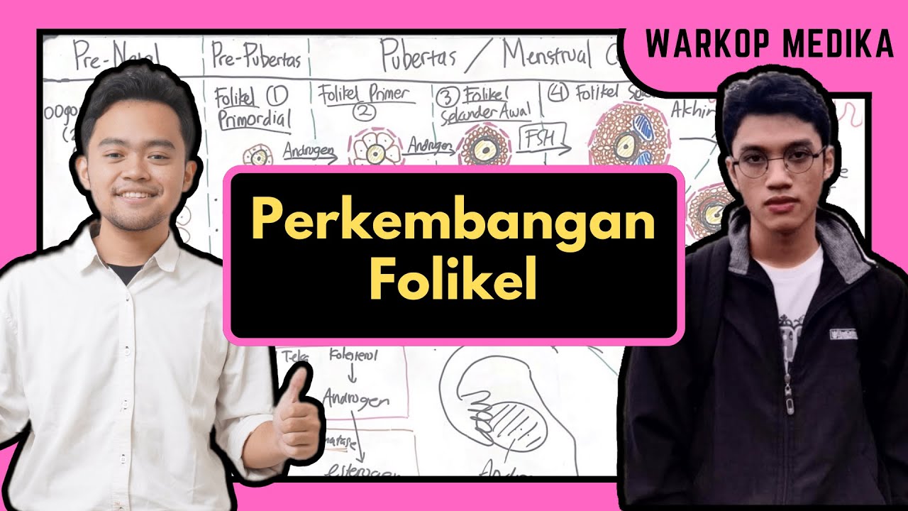 Perkembangan Folikel Ovarium | Reproduksi Wanita | Obstetri dan ...