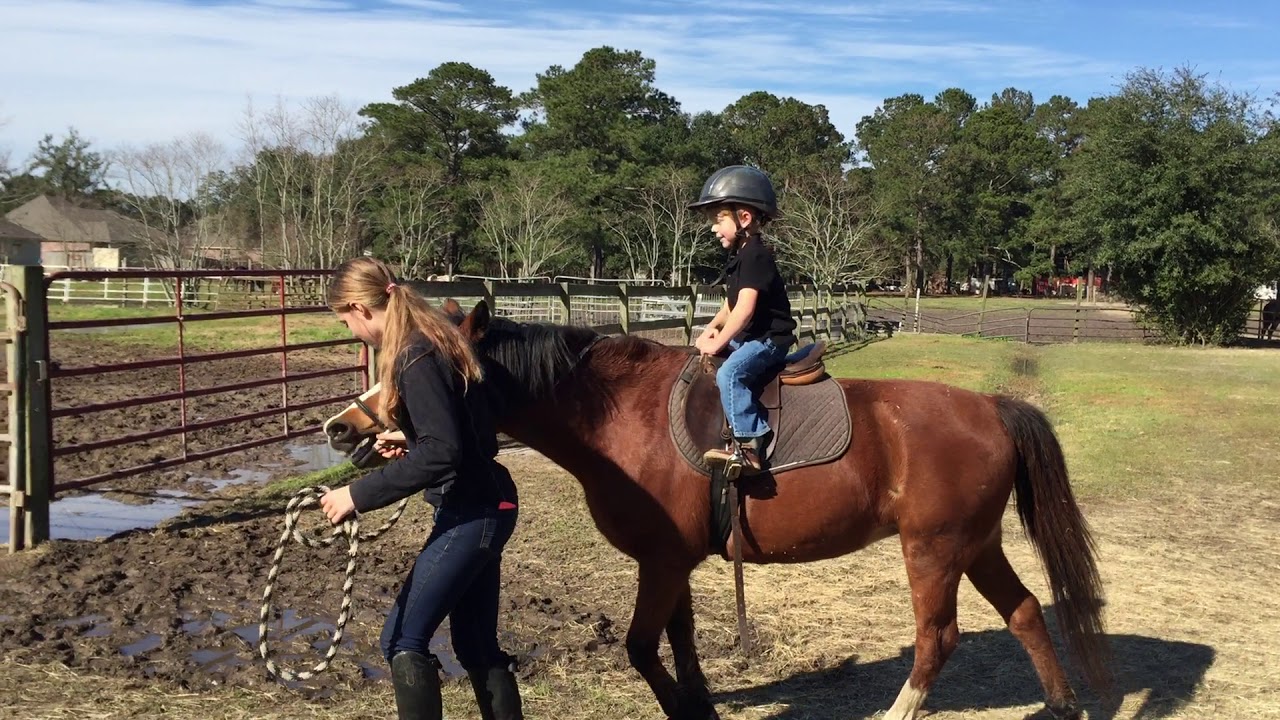 Kids Horse Riding - YouTube