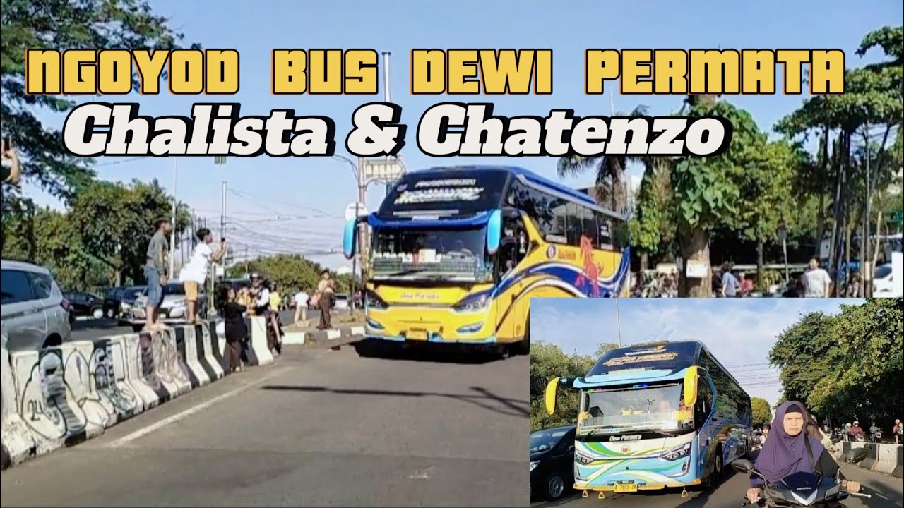 NGOYOD BUS DEWI PERMATA "CHALISTA& CHATENZO" - Ragunan ‼️ - YouTube