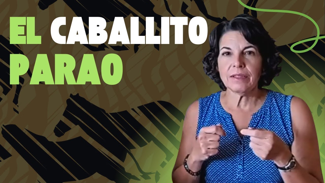 El Caballito Parao - YouTube