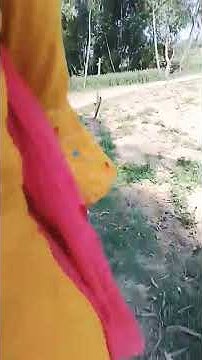 #kaisa laga Mera Gaon please# #comment Mein jarur bataiye# - YouTube