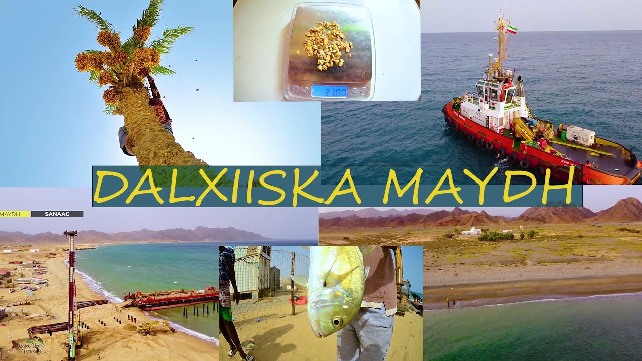 Dalxiiska Xeebta Maydh Ee Gobolka Sanaag 4K - YouTube