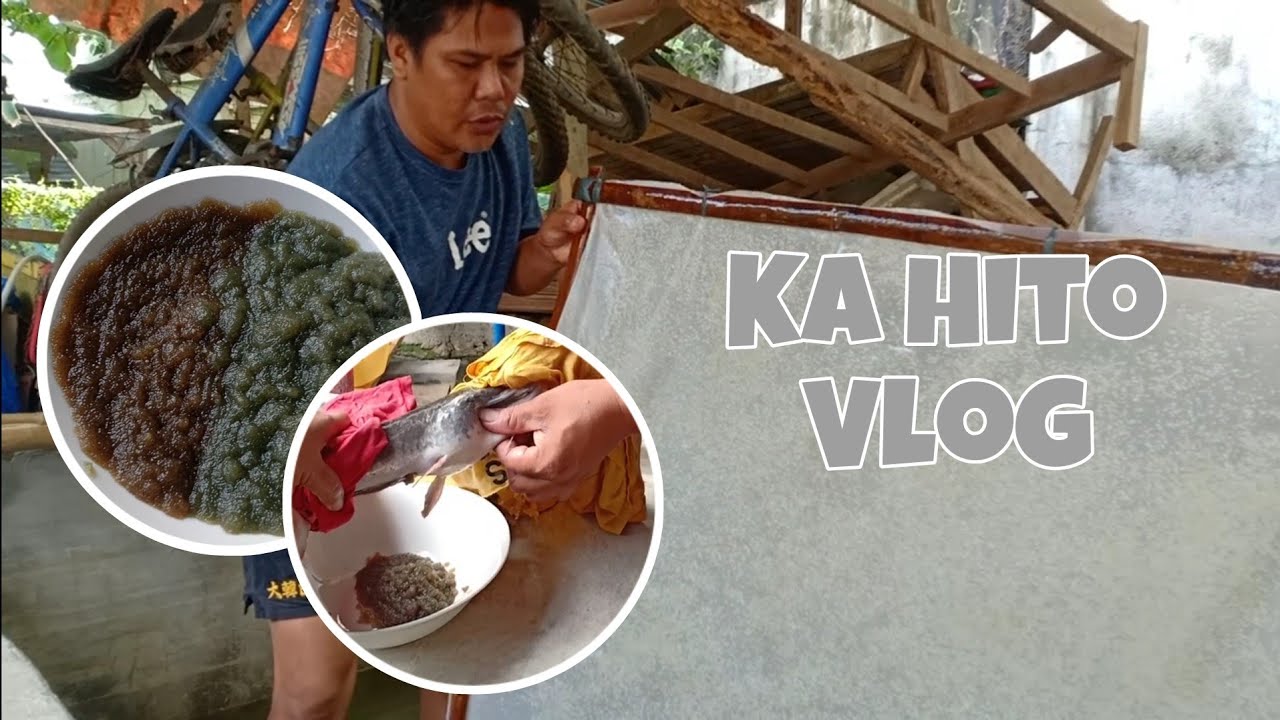 CATFISH BREEDING - YouTube