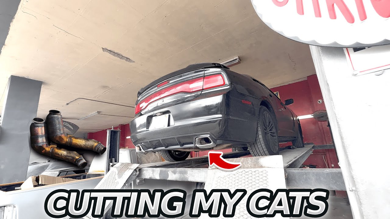 WE CUT THE CATS ON MY ILLEGAL DODGE CHARGER😱!!! - YouTube