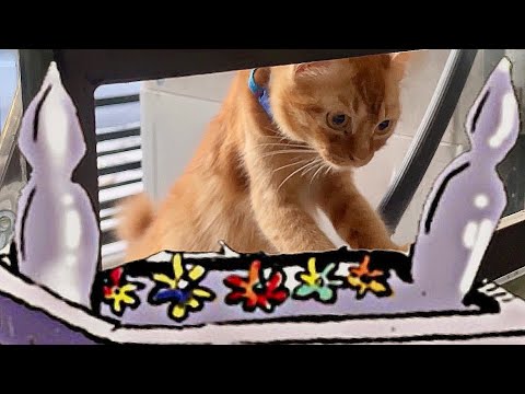 She Left Us Forever - YouTube
