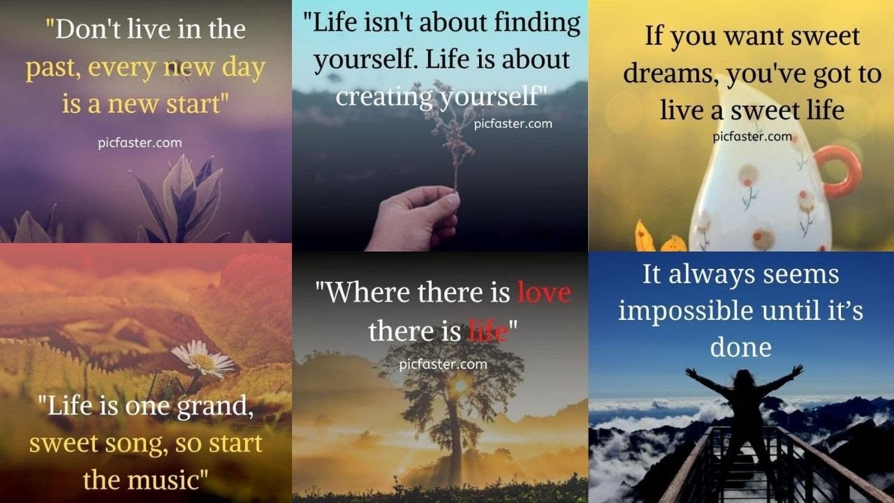 Latest - Whatsapp Profile Pic Life Quotes 2020 Download Images - YouTube