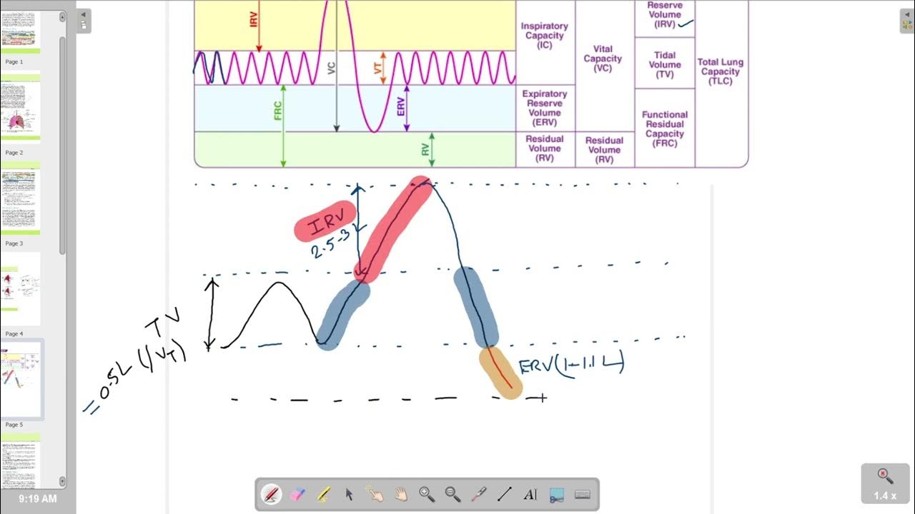 Spirogram - Lung volumes - YouTube