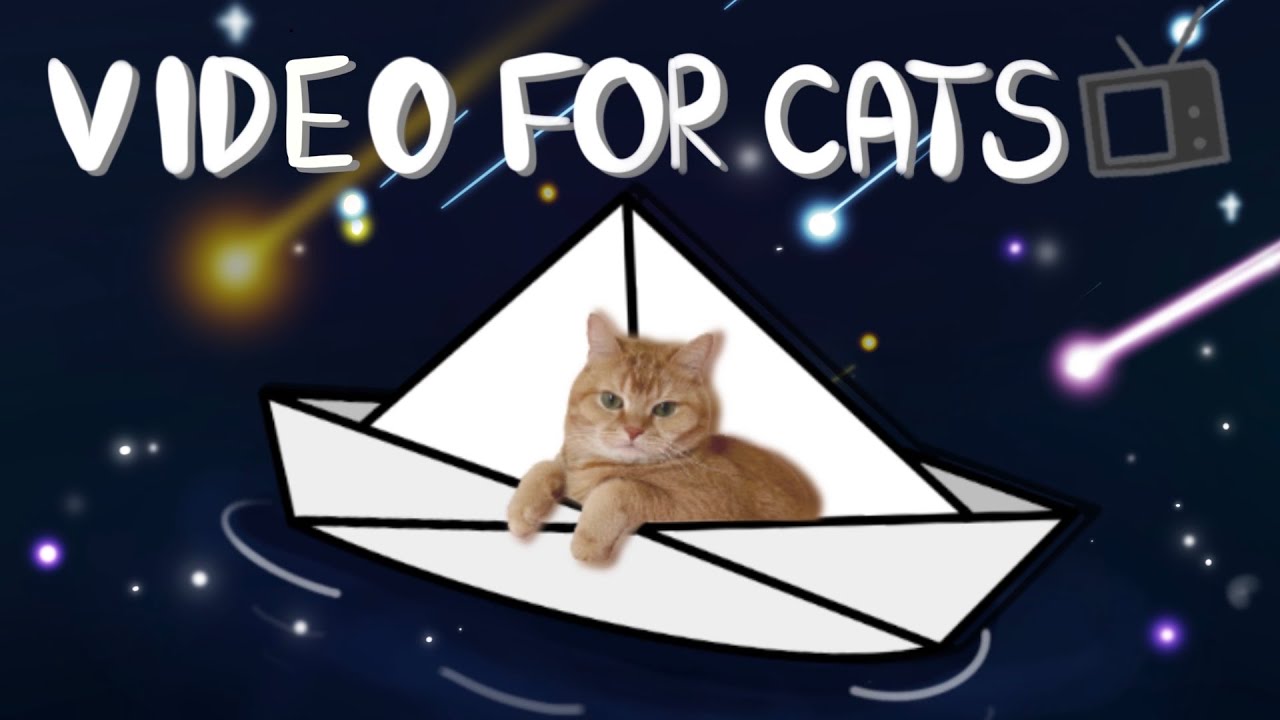 Top Cat Video – 3 Hours of Laser Lights Cats Go Crazy For! - YouTube