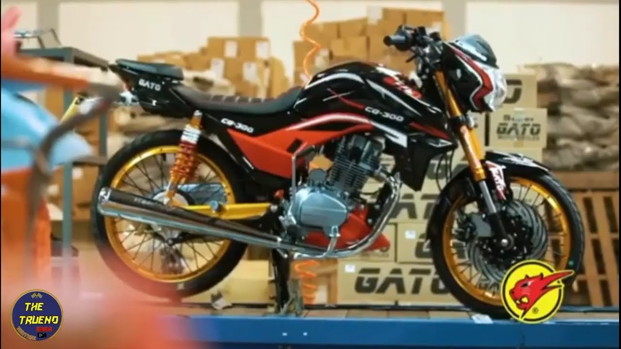 Nuevo Super Gato 300cc🔥2020👉💦👌 - YouTube