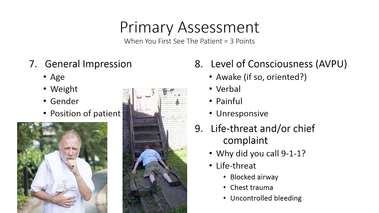 Patient Assessment 1 YouTube patient-assessment-1-youtube