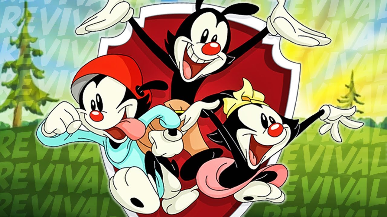 Why EVERYONE Is Excited For The Animaniacs Revival - YouTube